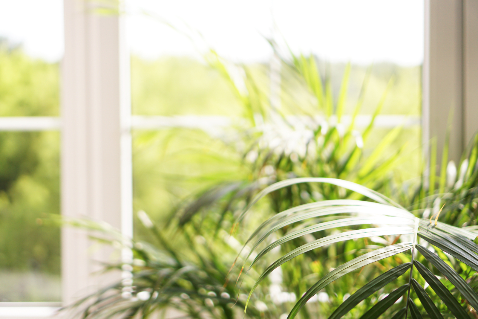 How do you Modernise an old conservatory? Conservatory Insulation ... How do you Modernise an old conservatory? Conservatory Insulation ...